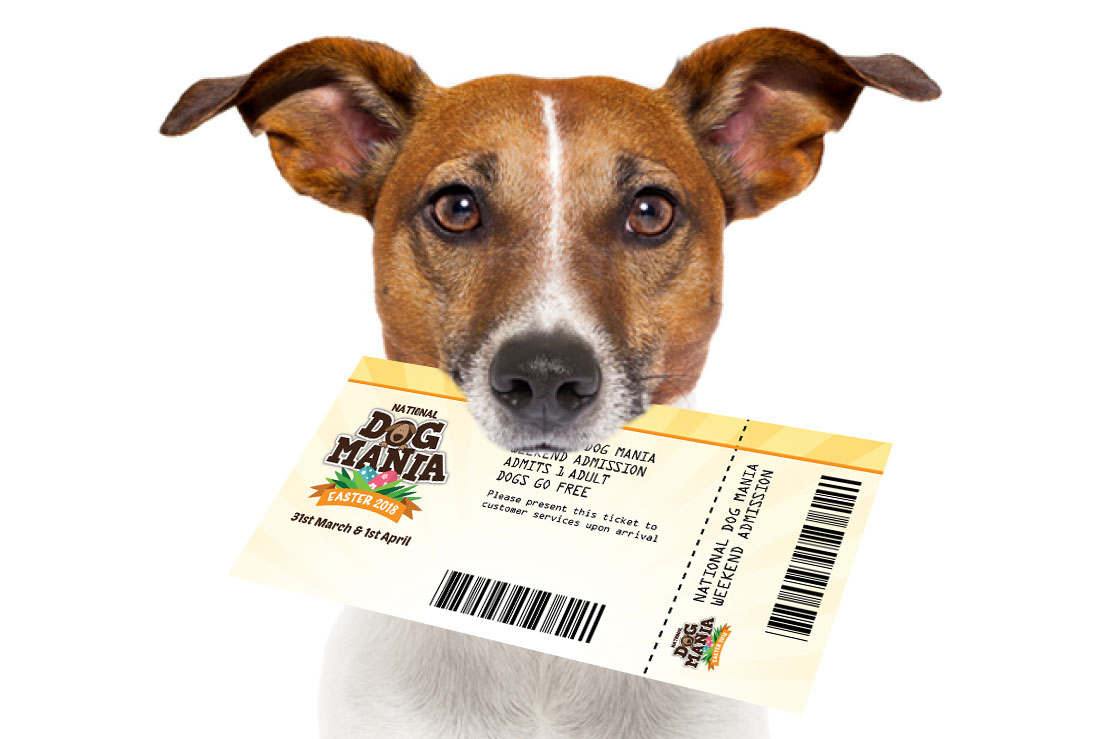 Dog Mania comes to the Exhibition Centre Liverpool in March